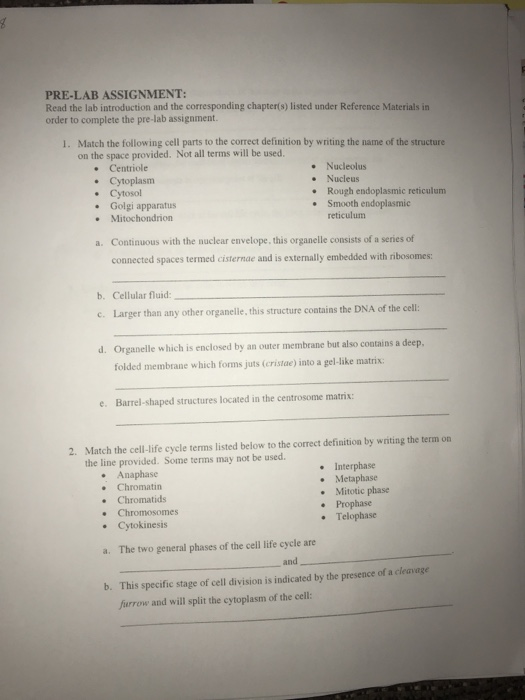 Solved PRE-LAB ASSIGNMENT: Read the lab introduction and the | Chegg.com