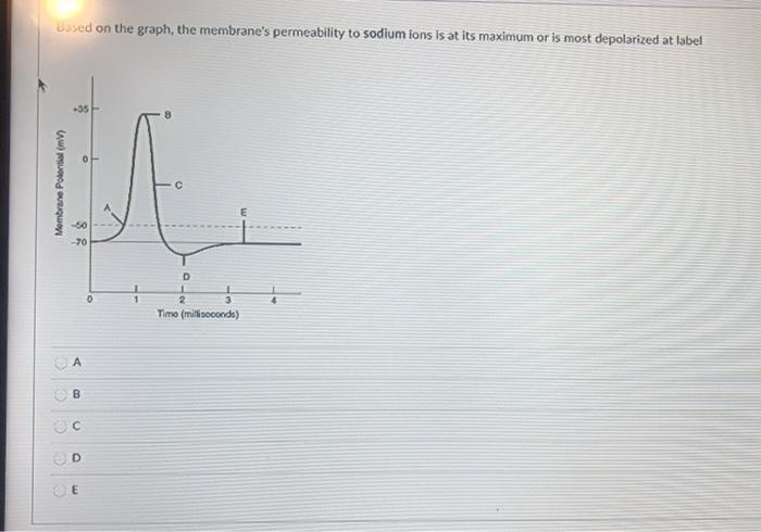 Solved based on the graph, the membrane's permeability to | Chegg.com