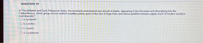 Solved In Precambrian and Earty Palaeozoic times, the | Chegg.com