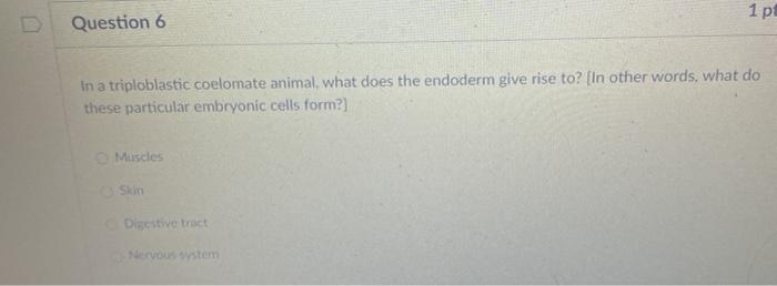 Solved 1 pt Question 6 In a triploblastic coelomate animal, | Chegg.com