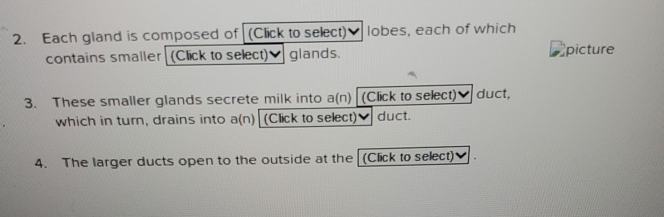 Solved Each gland is composed of (Click to select) ﻿lobes, | Chegg.com