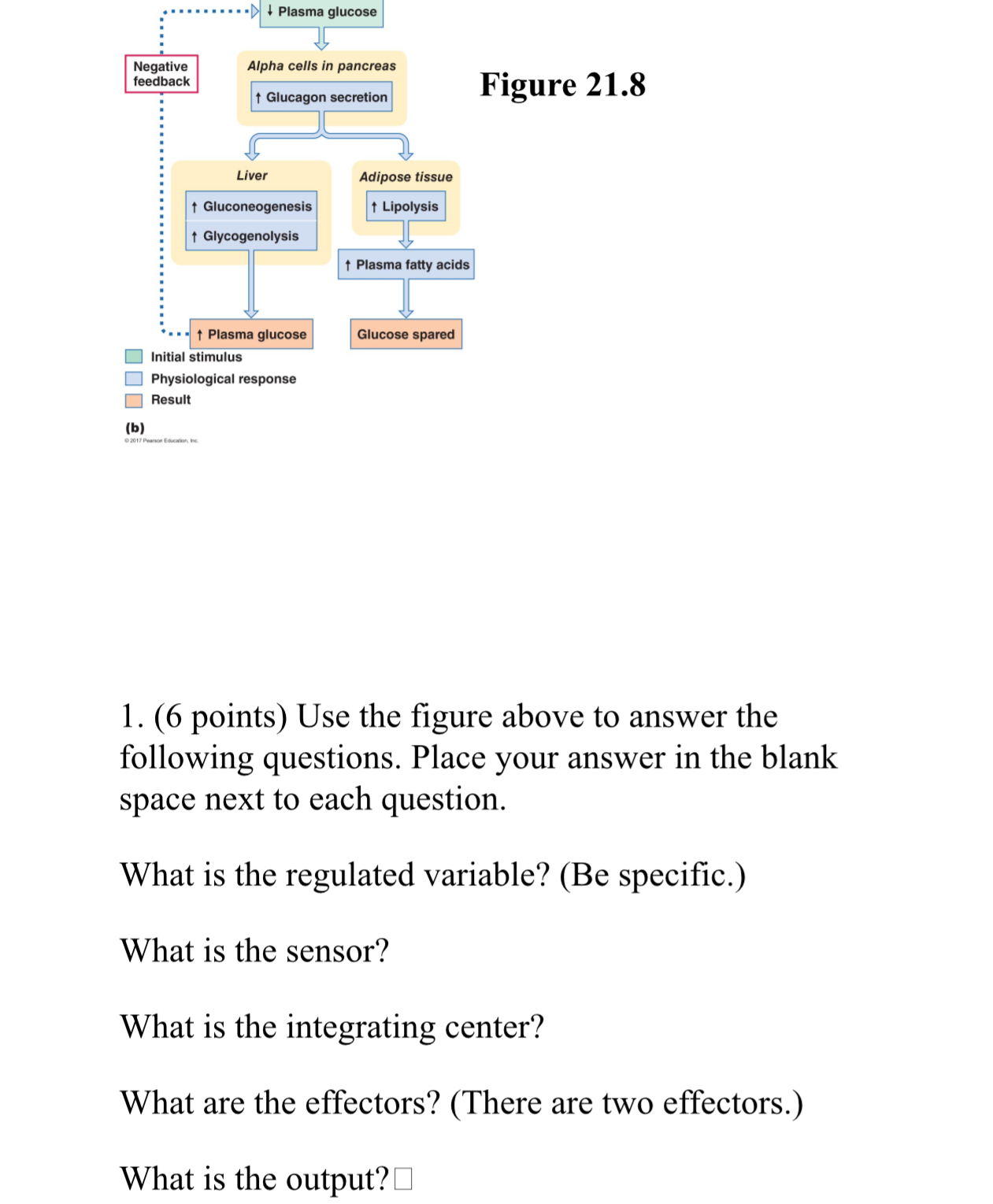 Solved Figure 21.8(6 ﻿points) ﻿Use the figure above to | Chegg.com