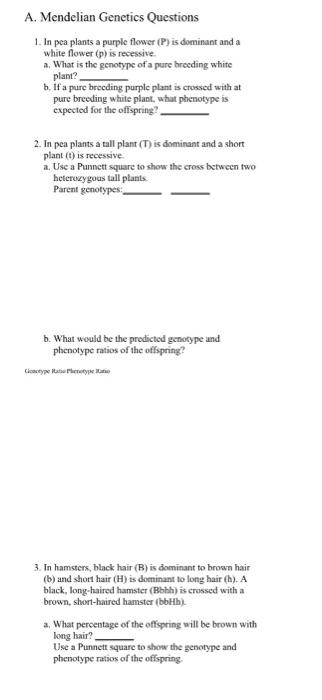 Solved A. Mendelian Genetics Questions 1. In pea plants a | Chegg.com