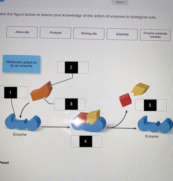 Solved Saved bel the figure below to assess your knowledge | Chegg.com