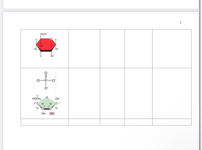 Solved Biomolecules: Monomers and Polymers Use your notes | Chegg.com