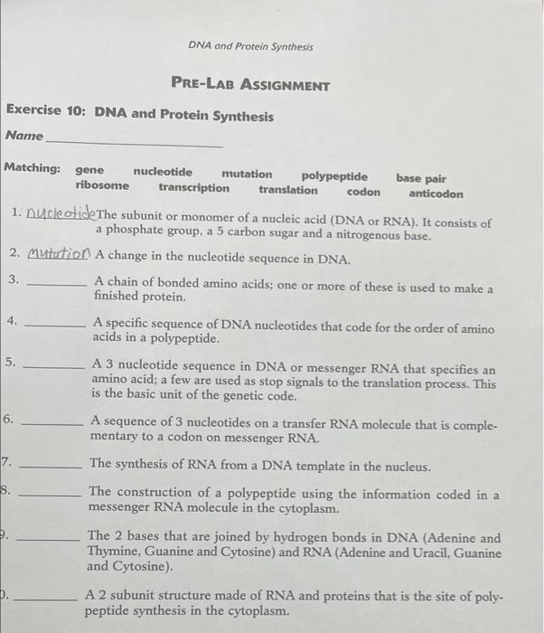 Solved DNA and Protein Synthesis PRE-LAB ASSIGNMENT Exercise | Chegg.com