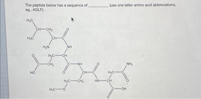 Solved The peptide below has a sequence of (use one letter | Chegg.com
