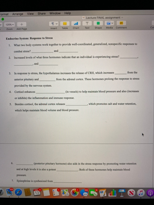 Solved Format Arrange View Share Window Help 125% + T Insert | Chegg.com
