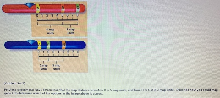 Solved 0 1 1 1 2 3 4 5 6 8 7 1 5 map units 3 map units 0 1 2 | Chegg.com