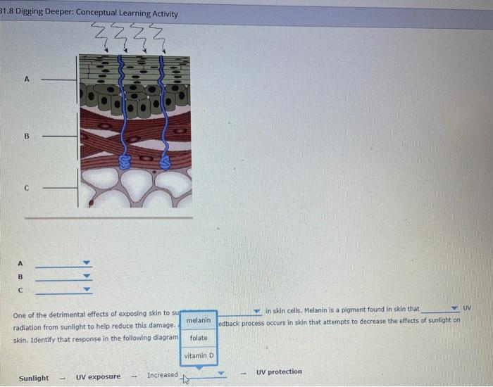 Solved 31.8 Digging Deeper: Conceptual Learning Activity 1. | Chegg.com