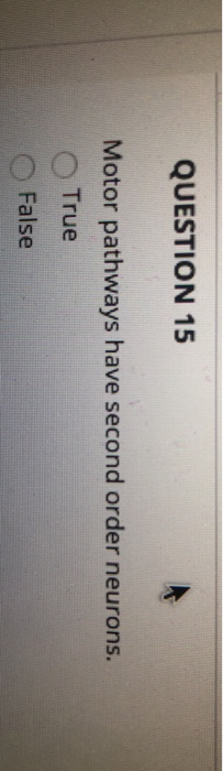 Solved QUESTION 15 Motor pathways have second order neurons. | Chegg.com