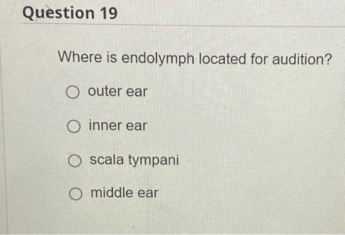 Solved Question 19 Where is endolymph located for audition? | Chegg.com