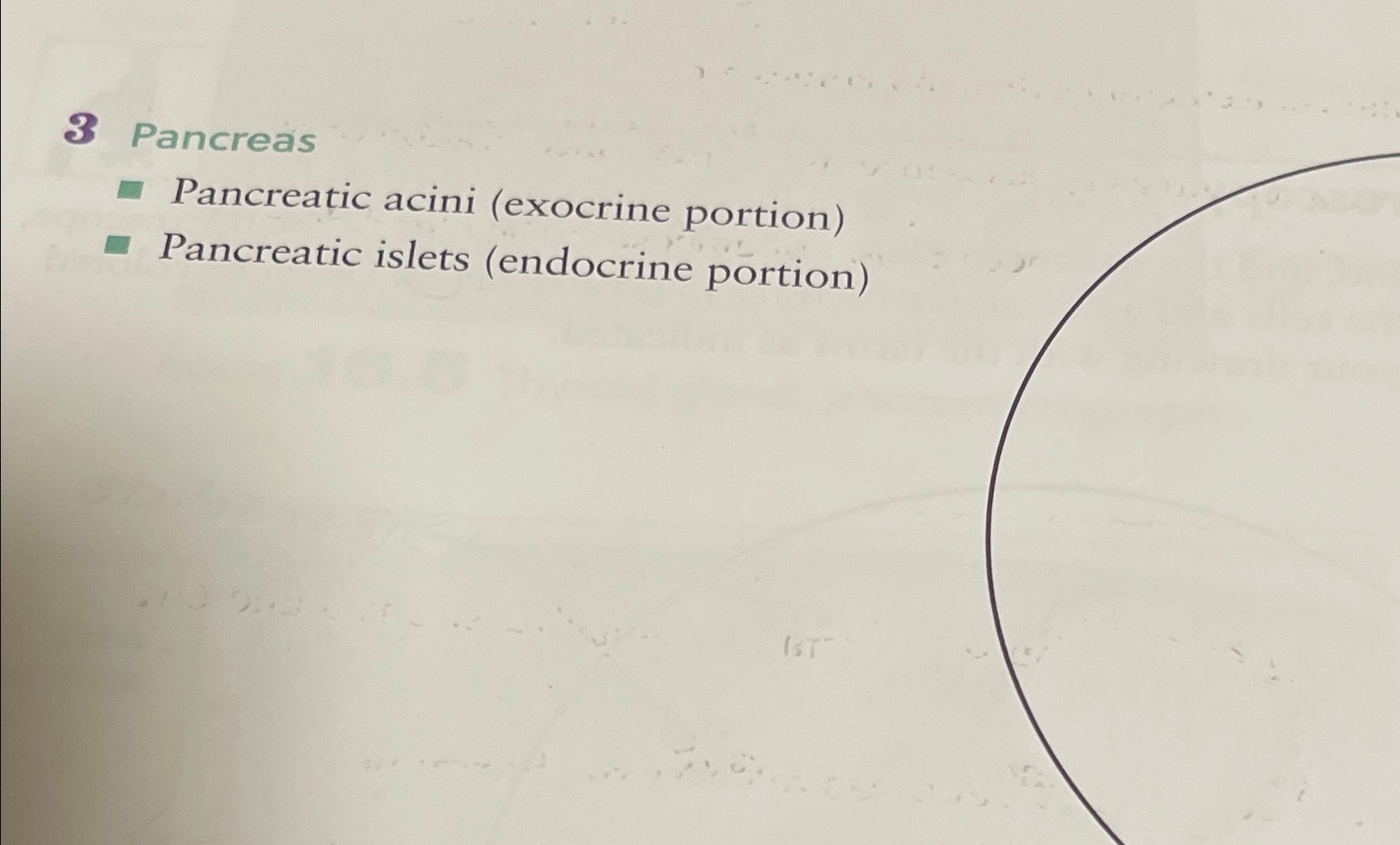 Solved 3 ﻿PancreasPancreatic acini (exocrine | Chegg.com