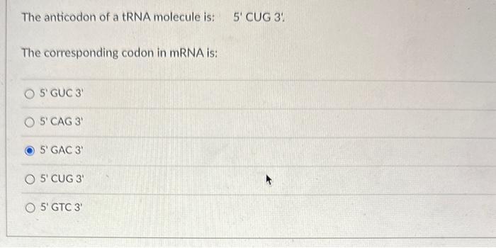 Solved The anticodon of a tRNA molecule is: 5 ' CUG 3: The | Chegg.com