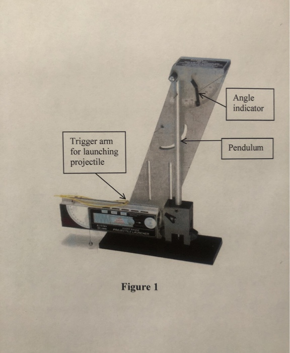 Solved Angle indicator Pendulum Trigger arm for launching | Chegg.com
