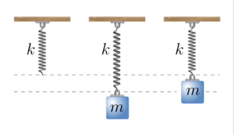 Solved A spring hangs vertically from a bracket at its | Chegg.com