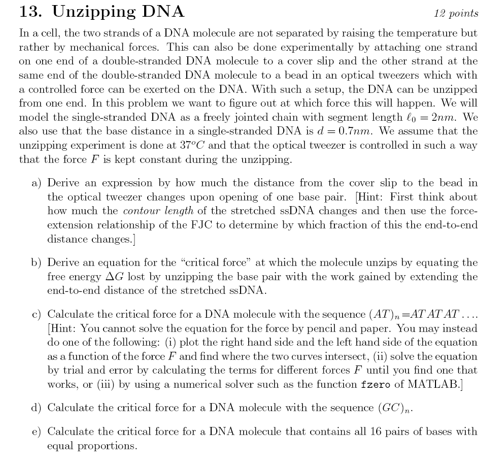 Unzipping DNA In a cell, the two strands of a DNA | Chegg.com