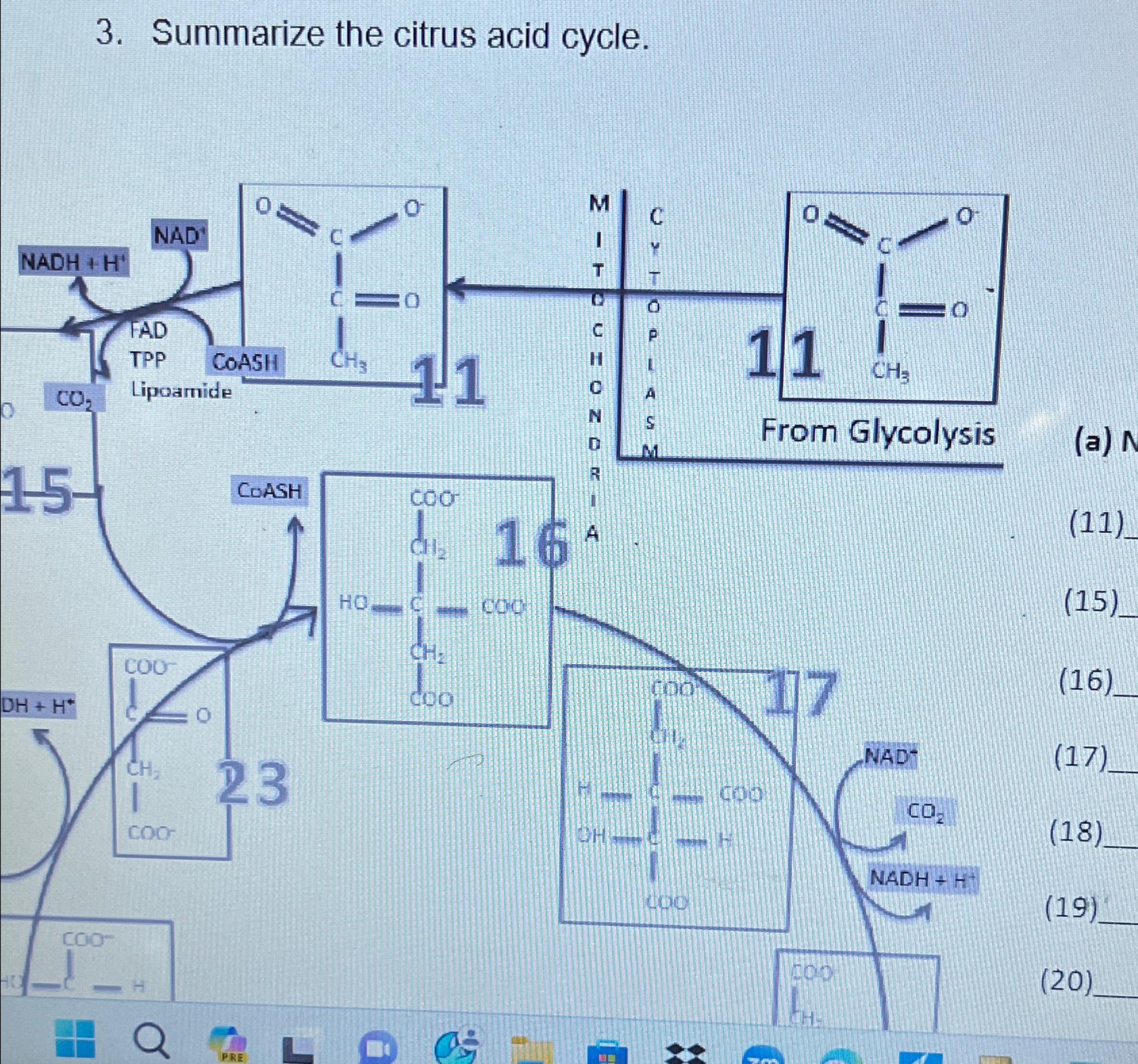Solved Summarize the citrus acid cycle. | Chegg.com