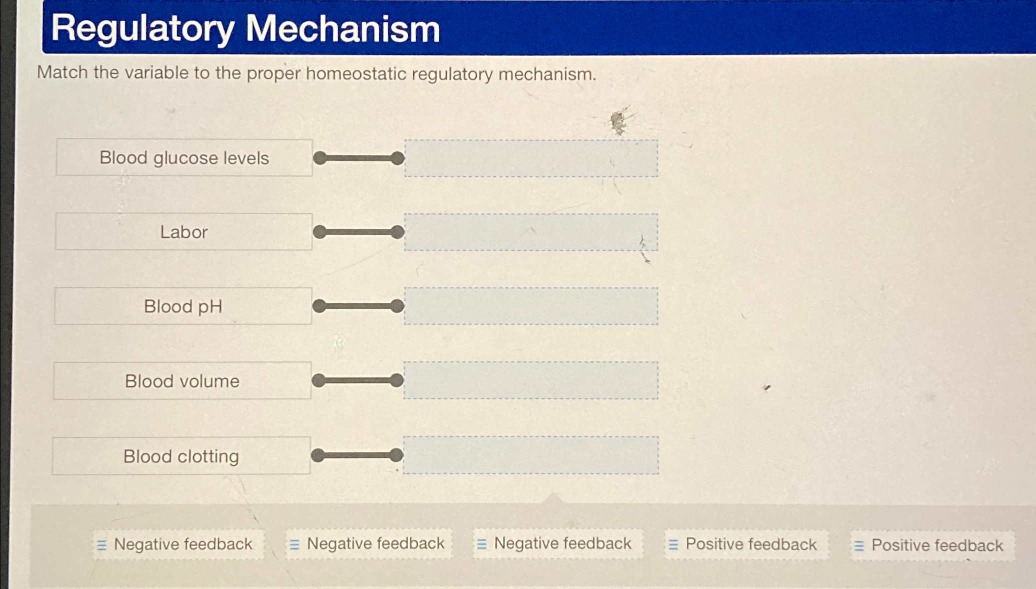 Solved Regulatory MechanismMatch the variable to the proper | Chegg.com