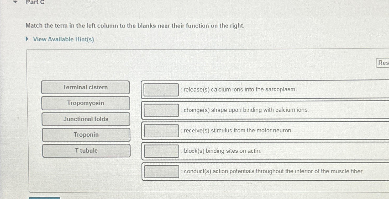 Solved Part CMatch the term in the left column to the blanks | Chegg.com