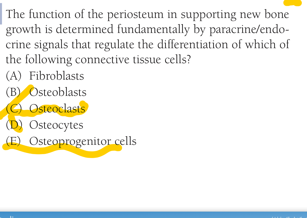 Solved The function of the periosteum in supporting new | Chegg.com
