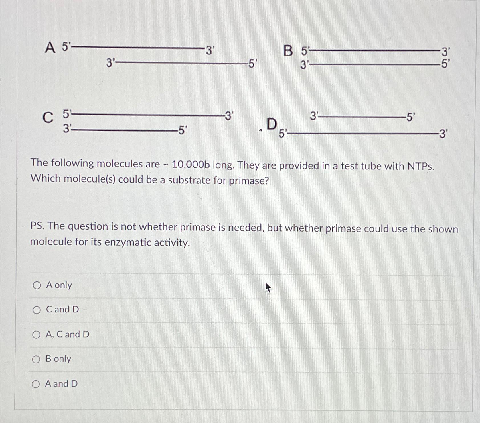 Solved A 5B5-3'3Cs'3'longrightarrow-?' | Chegg.com