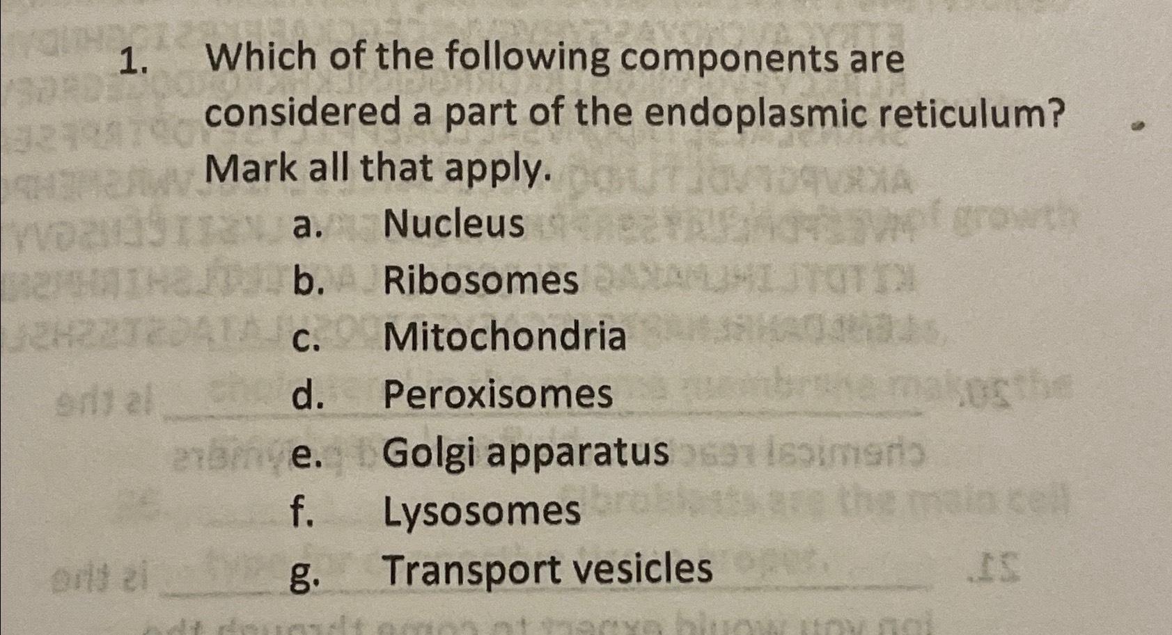 Solved Which of the following components are considered a | Chegg.com