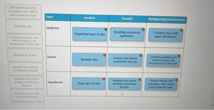 Solved Stores energy and insulates; atiso called | Chegg.com Solved Stores energy and insulates; atiso called | Chegg.com