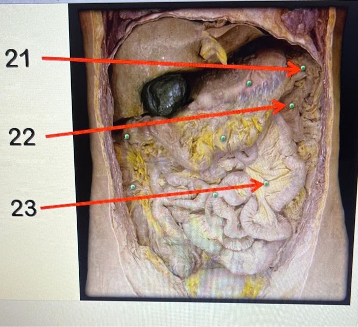 Solved identify the following | Chegg.com