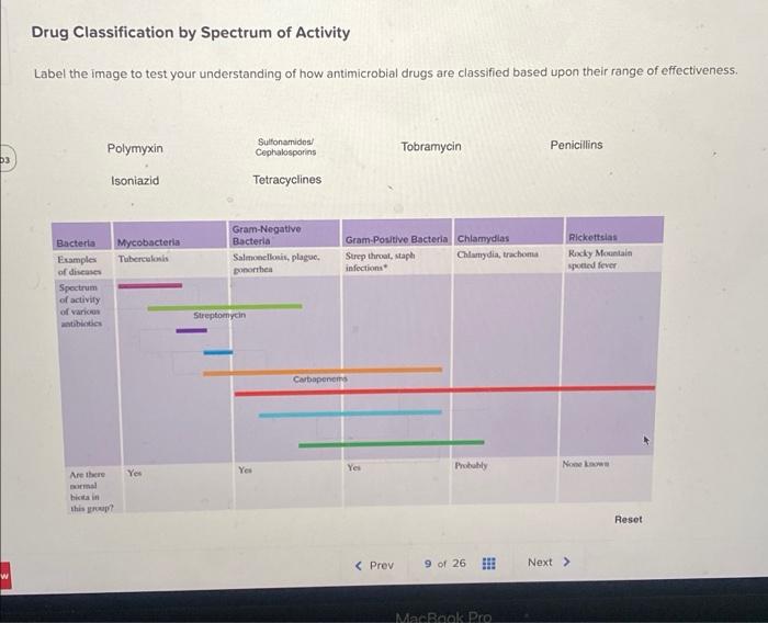 Solved Drug Classification by Spectrum of Activity Label the | Chegg.com