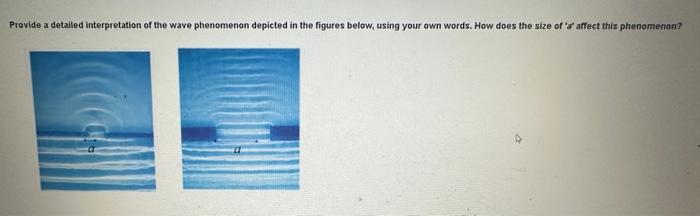 Solved Provide a detailed interpretation of the wave | Chegg.com