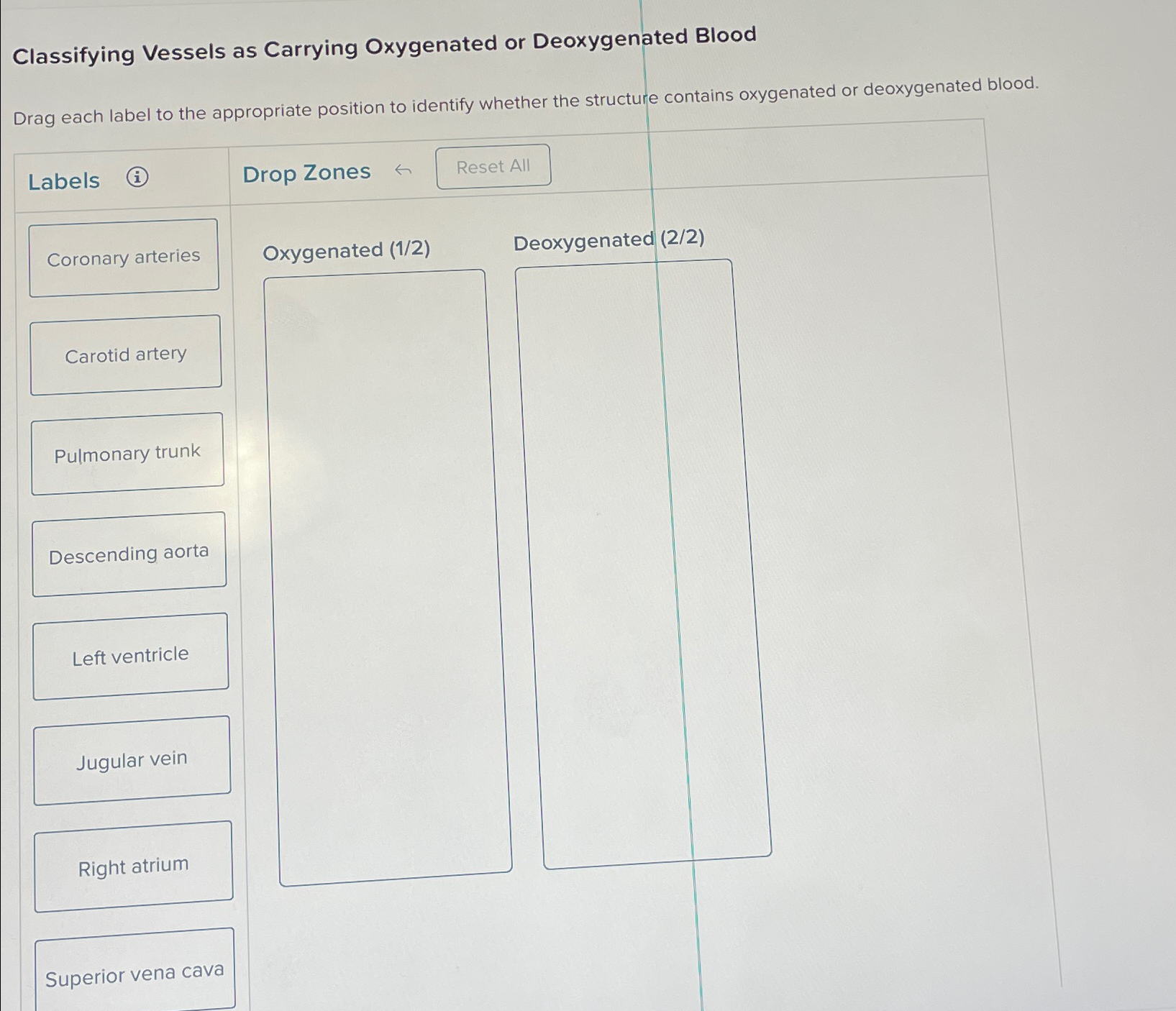 Solved Classifying Vessels as Carrying Oxygenated or | Chegg.com