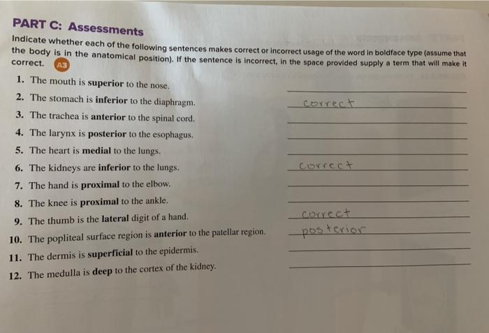 Solved A3 PART C: Assessments Indicate whether each of the | Chegg.com