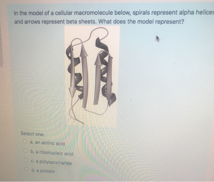 Solved In the model of a cellular macromolecule below, | Chegg.com