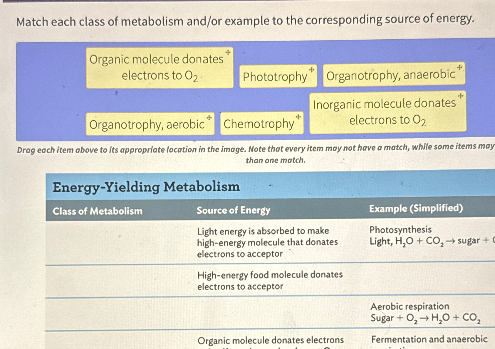 Solved Match each class of metabolism and/or example to the | Chegg.com