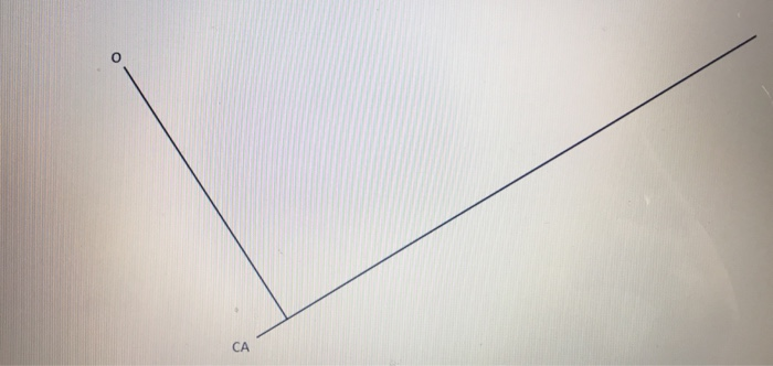 Penguin Phylogeny YOU MUST build your cladogram based | Chegg.com