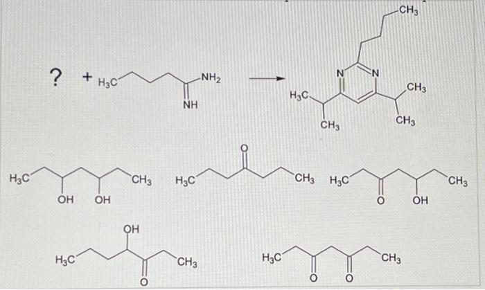 Solved CH3 ? + нс N NH2 CH3 нс NH CH3 CH3 НАС CH3 нас CH3 | Chegg.com