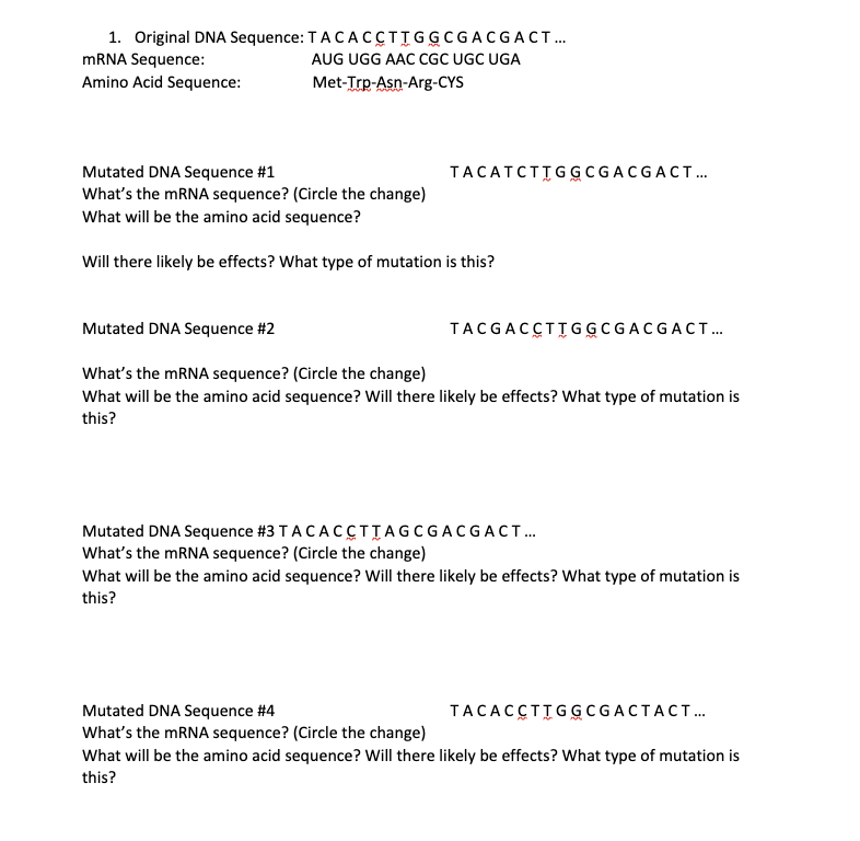 Solved Original DNA Sequence: T A C A C C T T G G C G A C G | Chegg.com