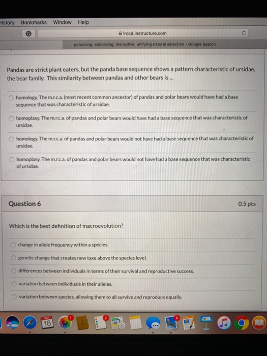 Solved History Bookmarks Window Help @ Irccd.instructure.com | Chegg.com