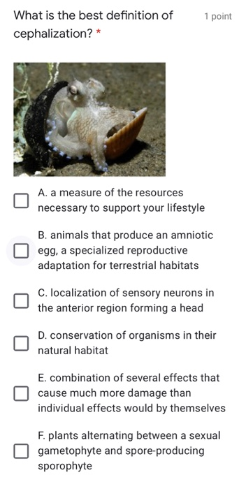 Solved 1 point What is the best definition of cephalization? | Chegg.com