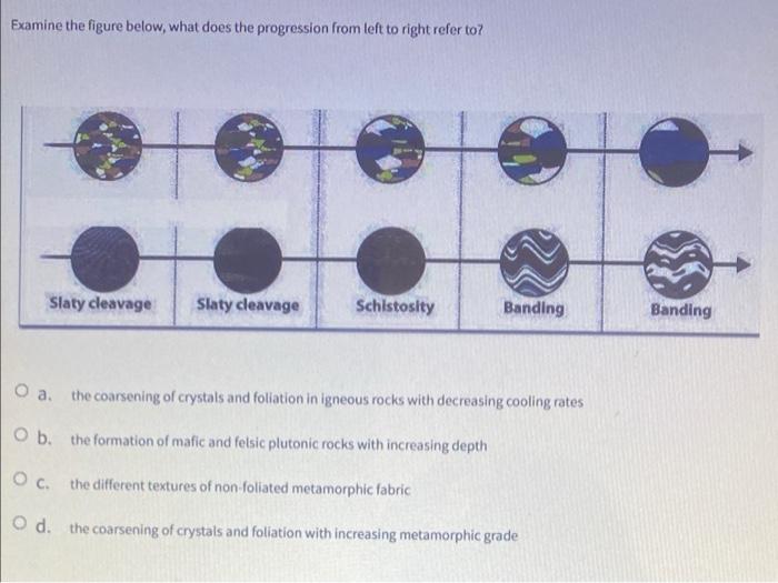 Solved Examine the figure below, what does the progression | Chegg.com