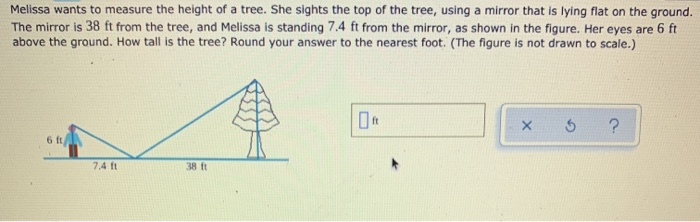 Solved Melissa wants to measure the height of a tree. She | Chegg.com