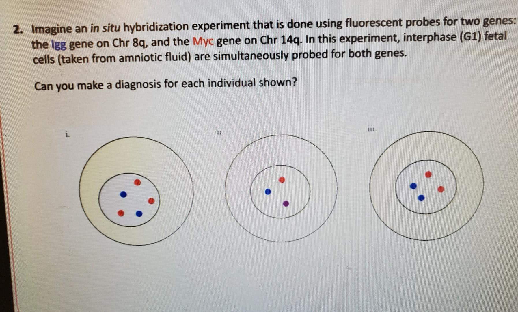 Solved 1. As shown by monitoring UV absorbance of DNA at | Chegg.com