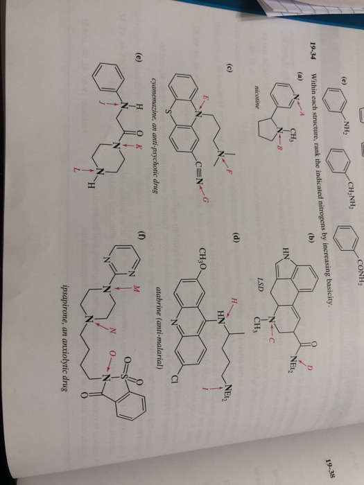 Solved CONH NH2 CH2NH (e) 19-34 19-38 Within each structure, | Chegg.com
