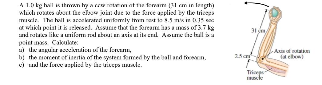 Solved A 1.0 kg ball is thrown by a ccw rotation of the | Chegg.com