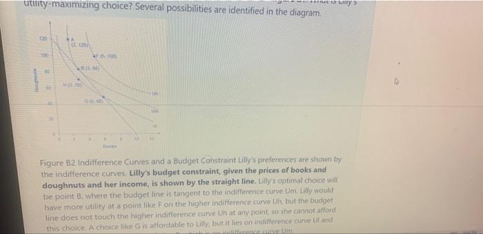 Solved Utility-Maximizing with Indifference Curves People | Chegg.com