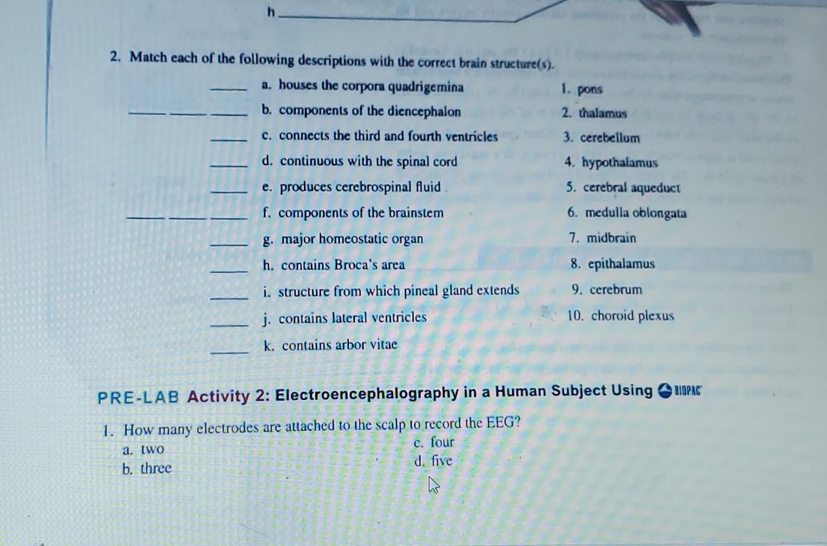 Solved 3. Put the following events that occur at the | Chegg.com