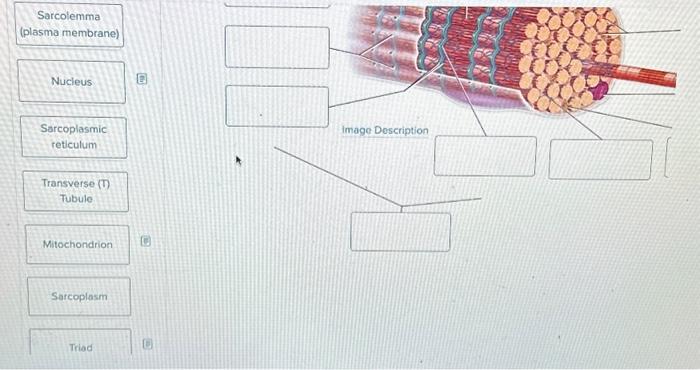 Solved Click and drag the labels of the internal components | Chegg.com
