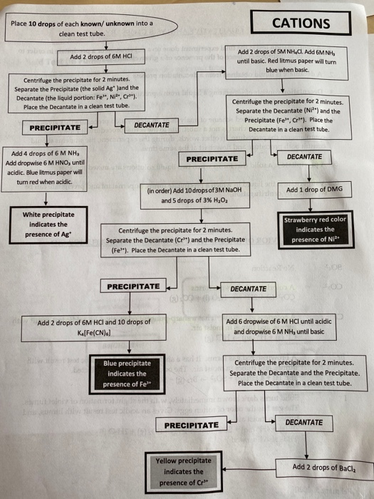 Solved PART III: CATION UNKNOWN SOLUTION Cation unknown # NS | Chegg.com