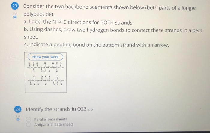 Solved Consider the two backbone segments shown below (both | Chegg.com